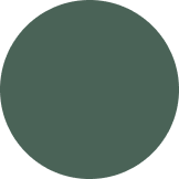 BlueStar | 2024 Winter Color Palette