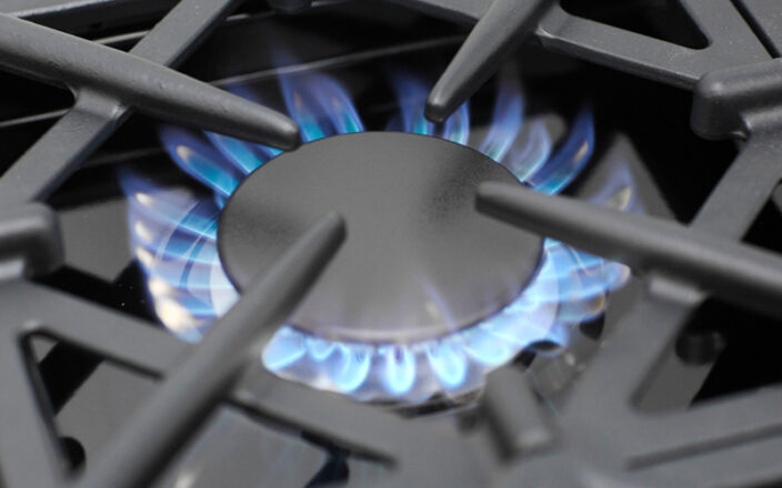 Meet the New BlueStar Sealed Burner 24 Range